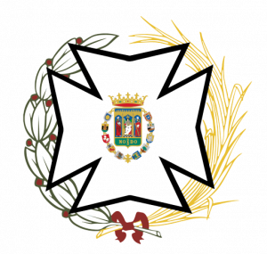 Las enfermeras y los enfermeros logran que la RAE actualice en el ...