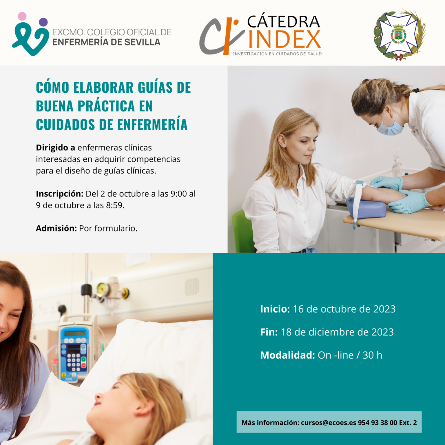 CURSO "CÓMO ELABORAR GUÍAS DE BUENA PRÁCTICA EN CUIDADOS DE ENFERMERÍA ...
